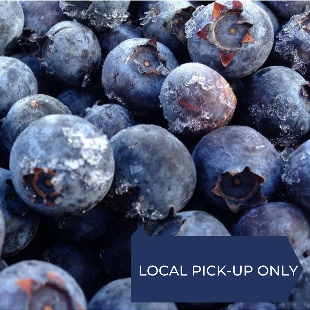 Frozen Organic Blueberries – Bow Hill Blueberries